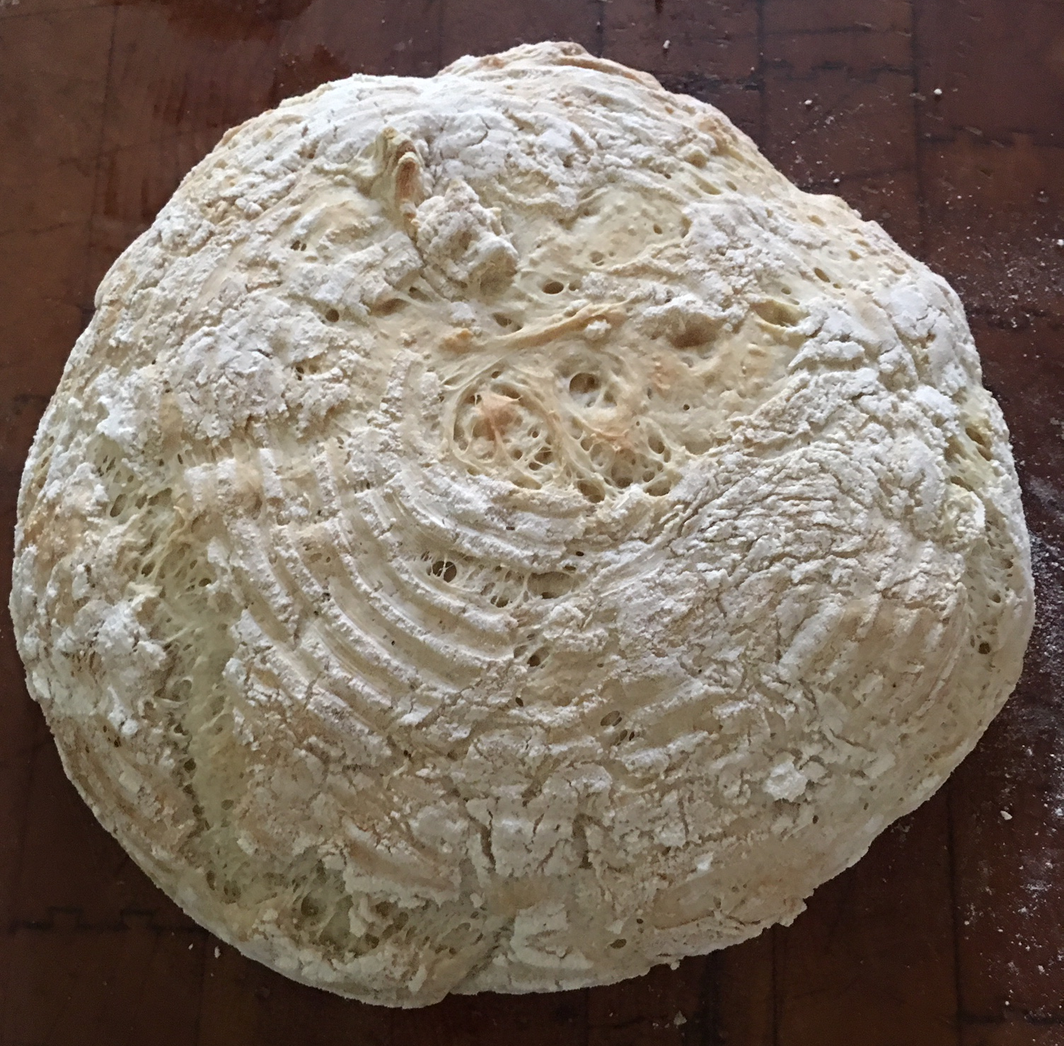 Sourdough vs. yeast – what you knead to know – Because Food is What I Do
